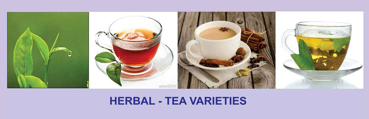 Vedha Products – Vedha Products